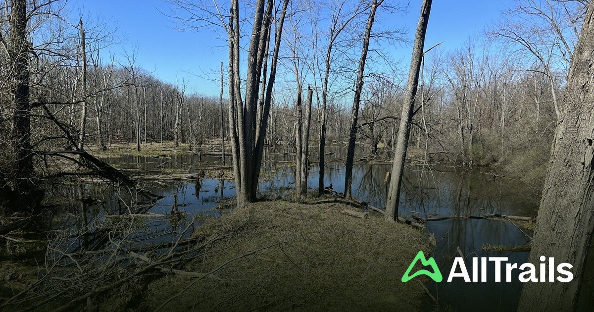 Pine River : les meilleures randonnées | AllTrails