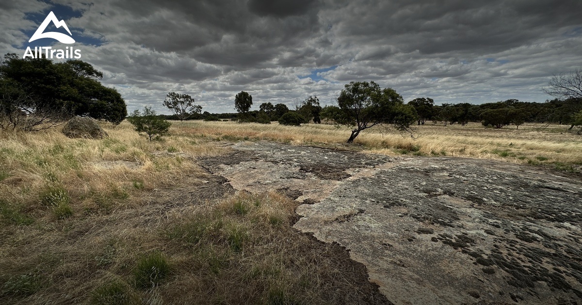 2023 Best Trails near Pyramid Hill | AllTrails