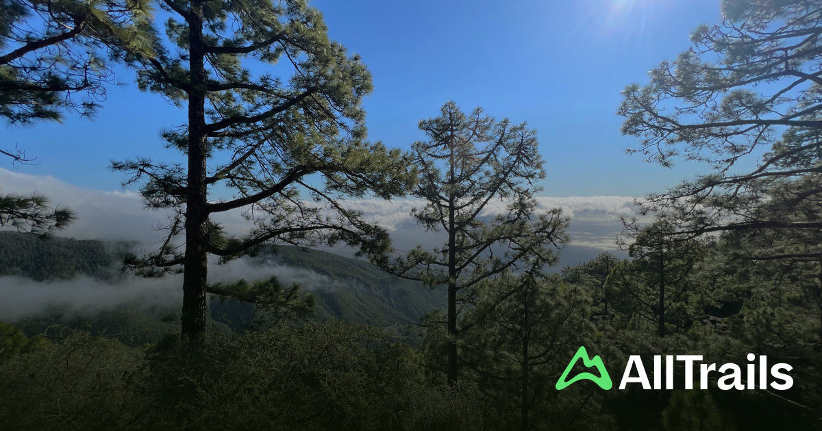 Montaña la Mesa - hikes and trails to get you there | AllTrails
