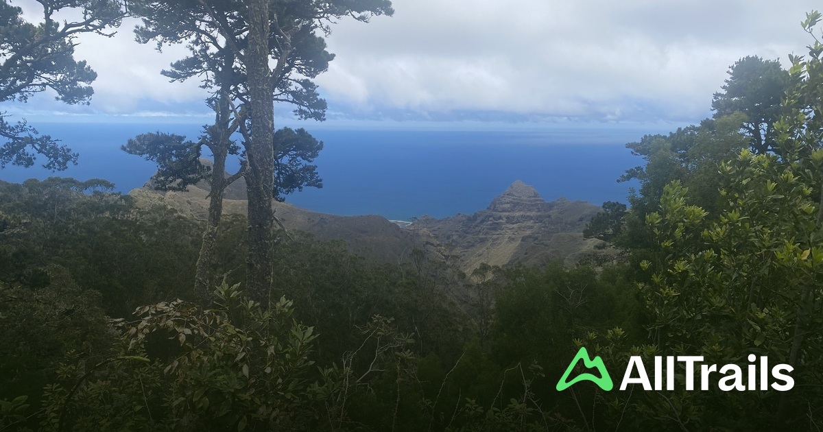 Volcán de las Rosas - hikes and trails to get you there | AllTrails