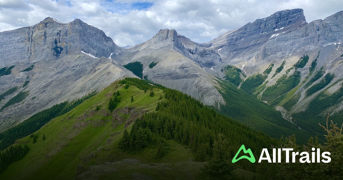 Mount Lougheed View Point - hikes and trails to get you there | AllTrails