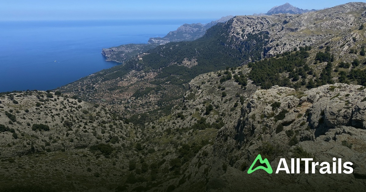 Cingles de Son Rullan - hikes and trails to get you there | AllTrails