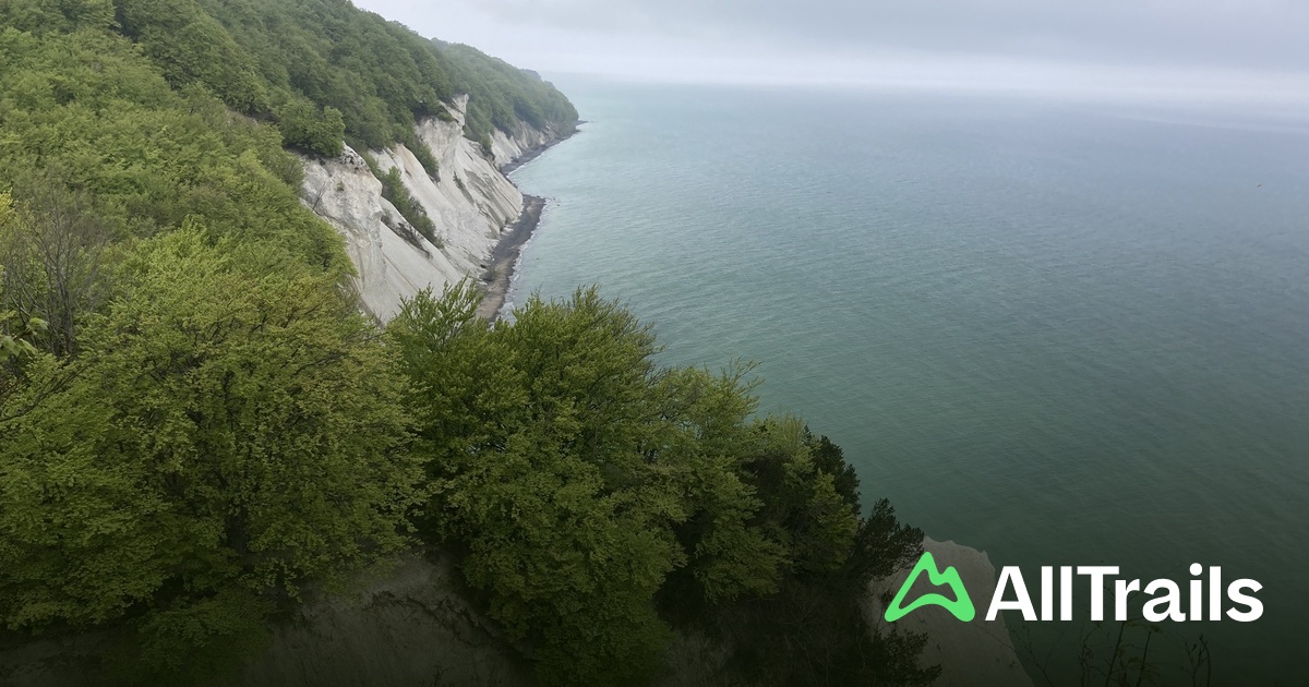 Møns Klint - hikes and trails to get you there | AllTrails