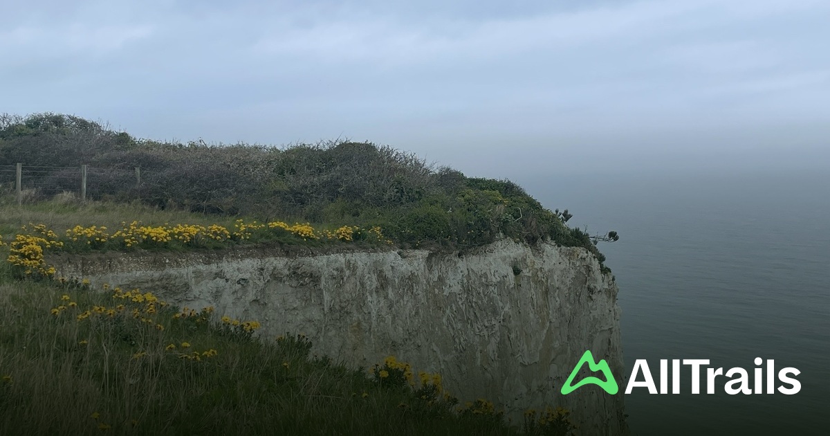 White Cliffs of Dover - hikes and trails to get you there | AllTrails