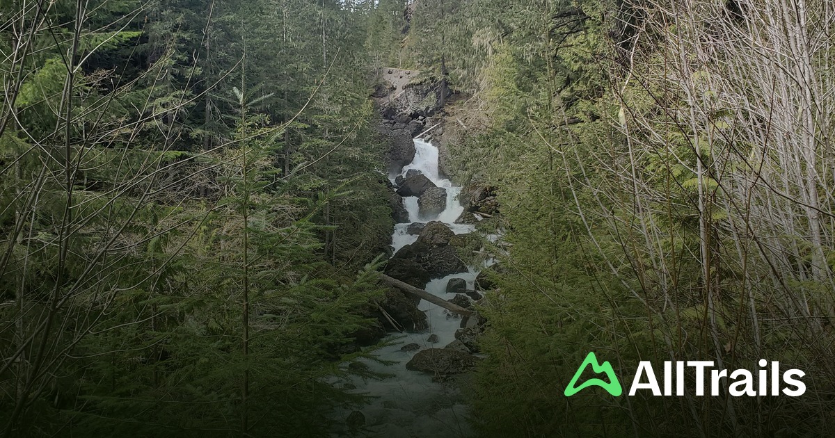 Dosewallips River - hikes and trails to get you there | AllTrails