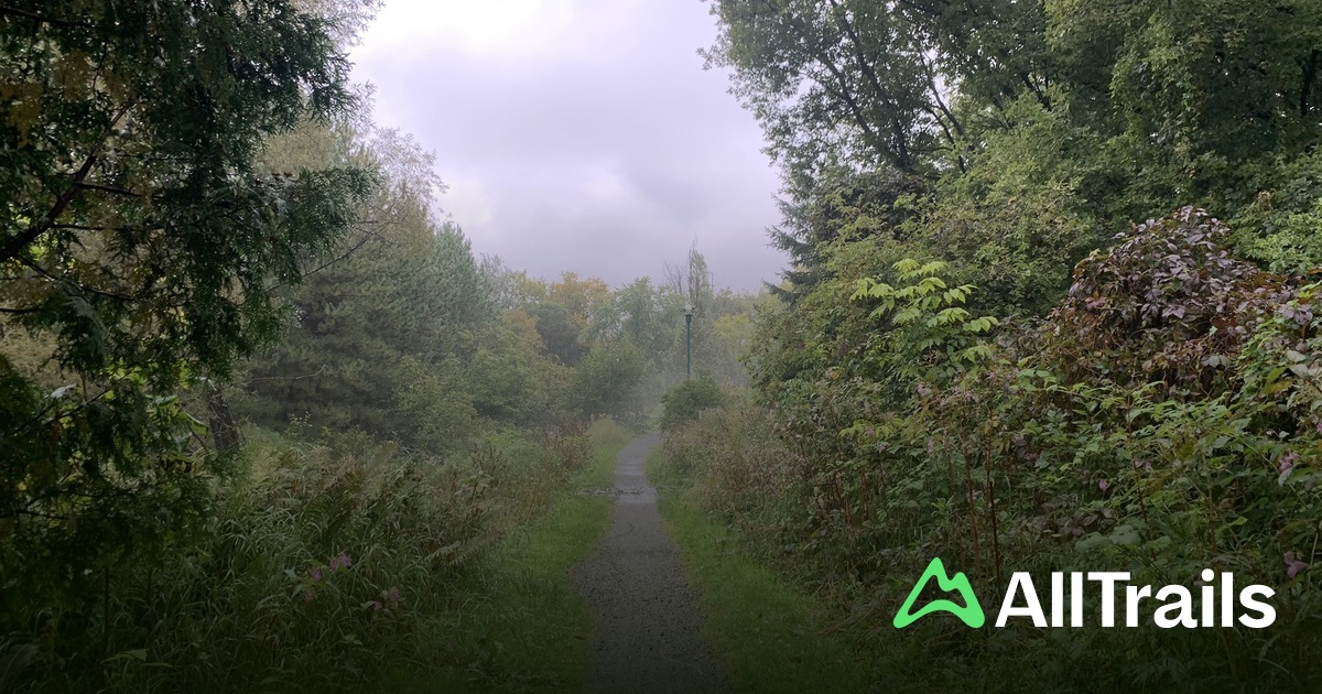 Junction Creek - hikes and trails to get you there | AllTrails