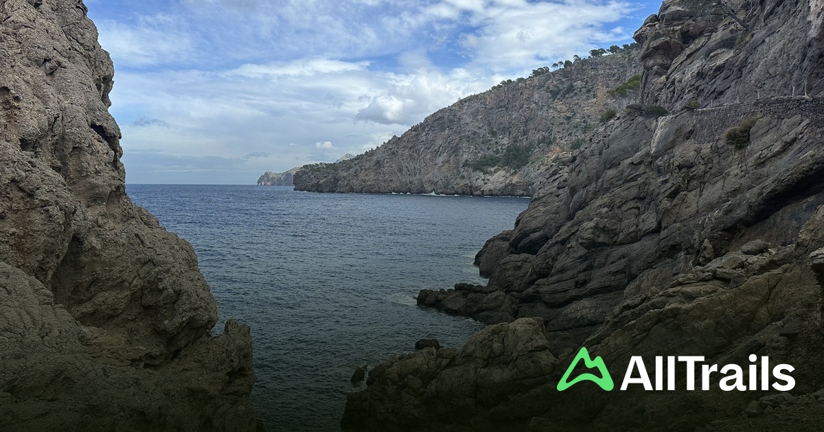 Mirador de sa Foradada - hikes and trails to get you there | AllTrails
