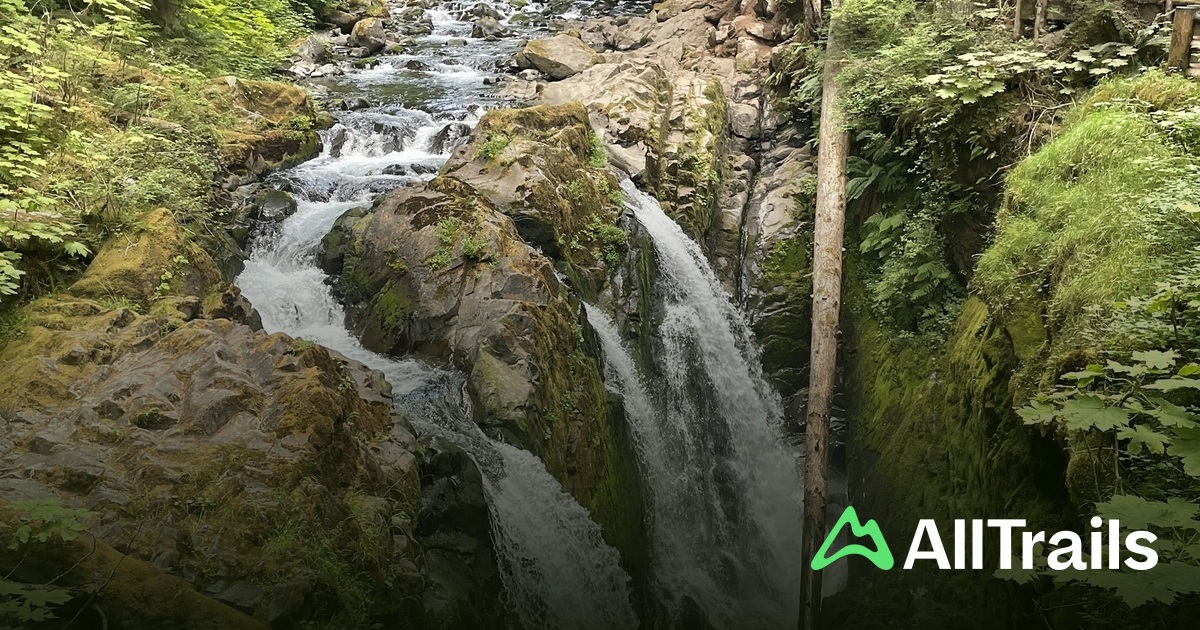 Sol Duc River - hikes and trails to get you there | AllTrails