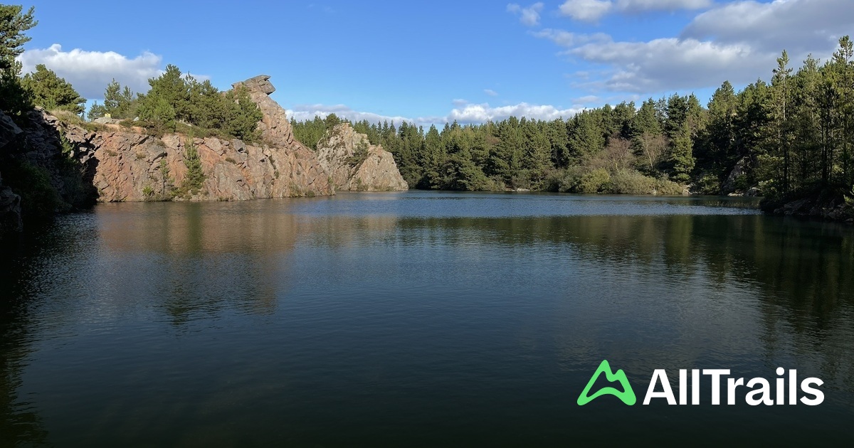 Carrig River - hikes and trails to get you there | AllTrails