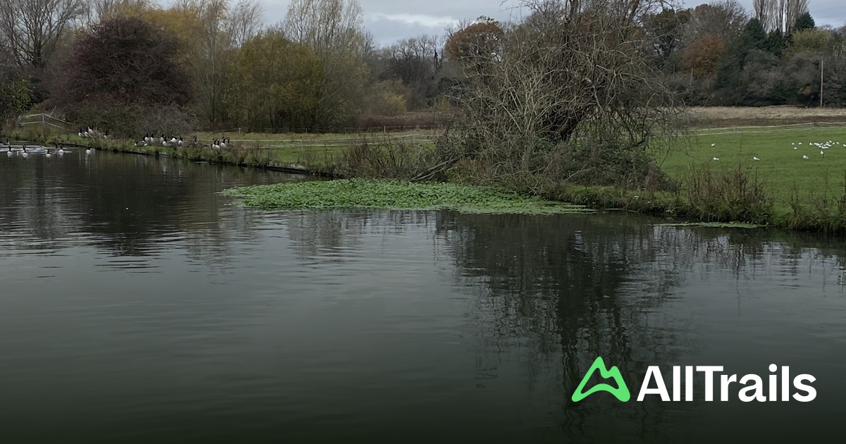 Bedste ruter i nærheden af River Bulbourne | AllTrails