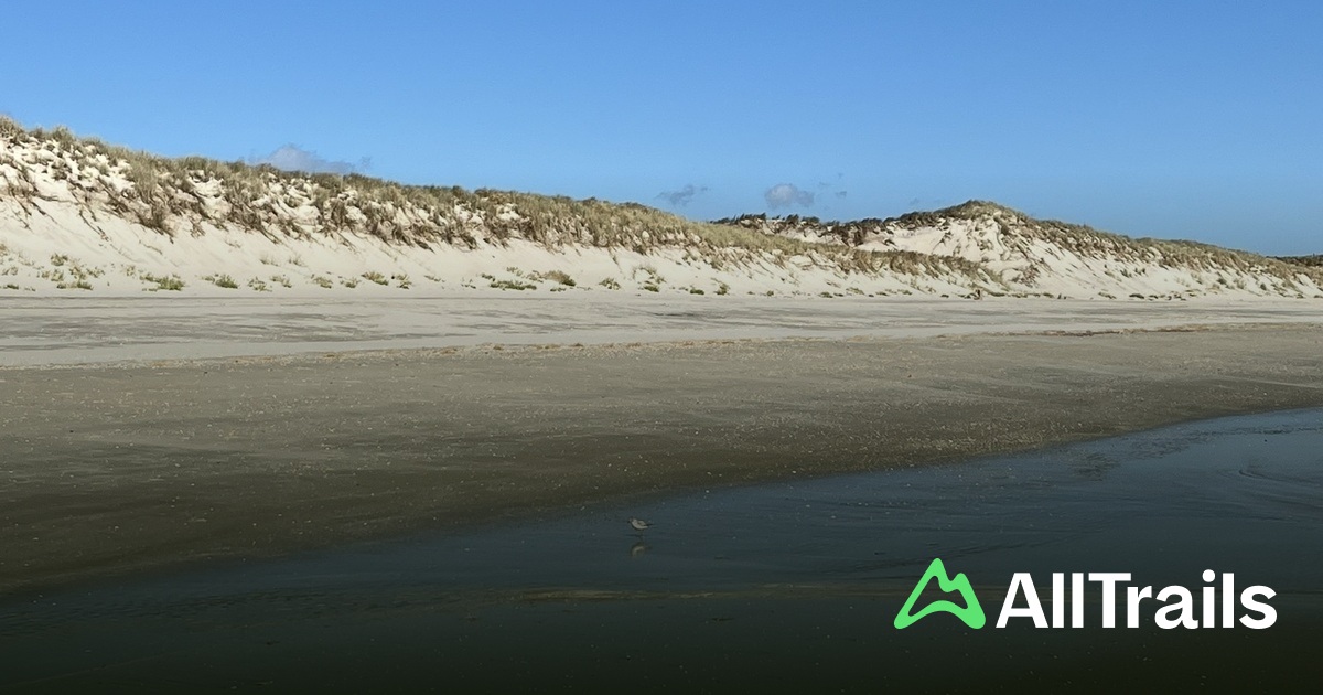 Waipū River - hikes and trails to get you there | AllTrails