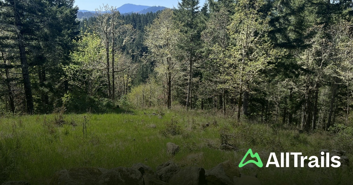 Marys River - hikes and trails to get you there | AllTrails