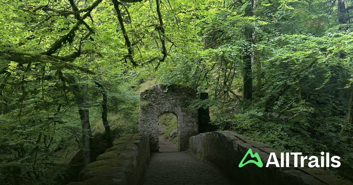 Best trails near River Tay | AllTrails