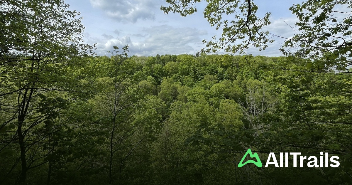 Bronte Creek - hikes and trails to get you there | AllTrails