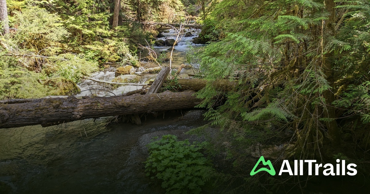 Big Quilcene River - hikes and trails to get you there | AllTrails