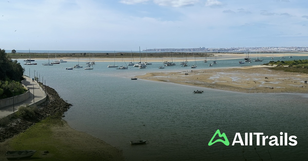 10 Best trails near Rio Alvor | AllTrails