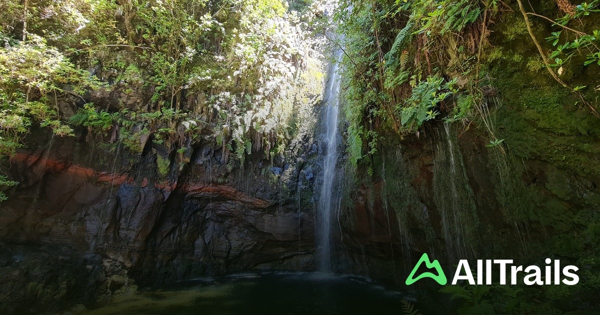 Cascata do Alexandre VI - hikes and trails to get you there | AllTrails