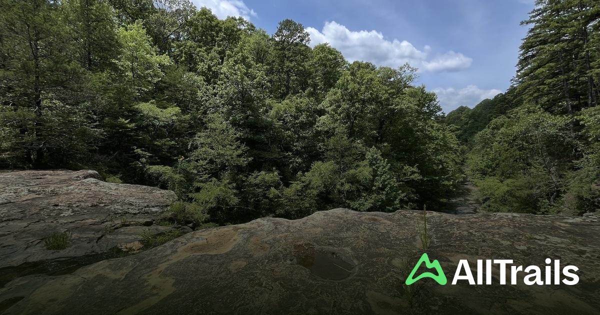 White Oak Creek Falls - hikes and trails to get you there | AllTrails