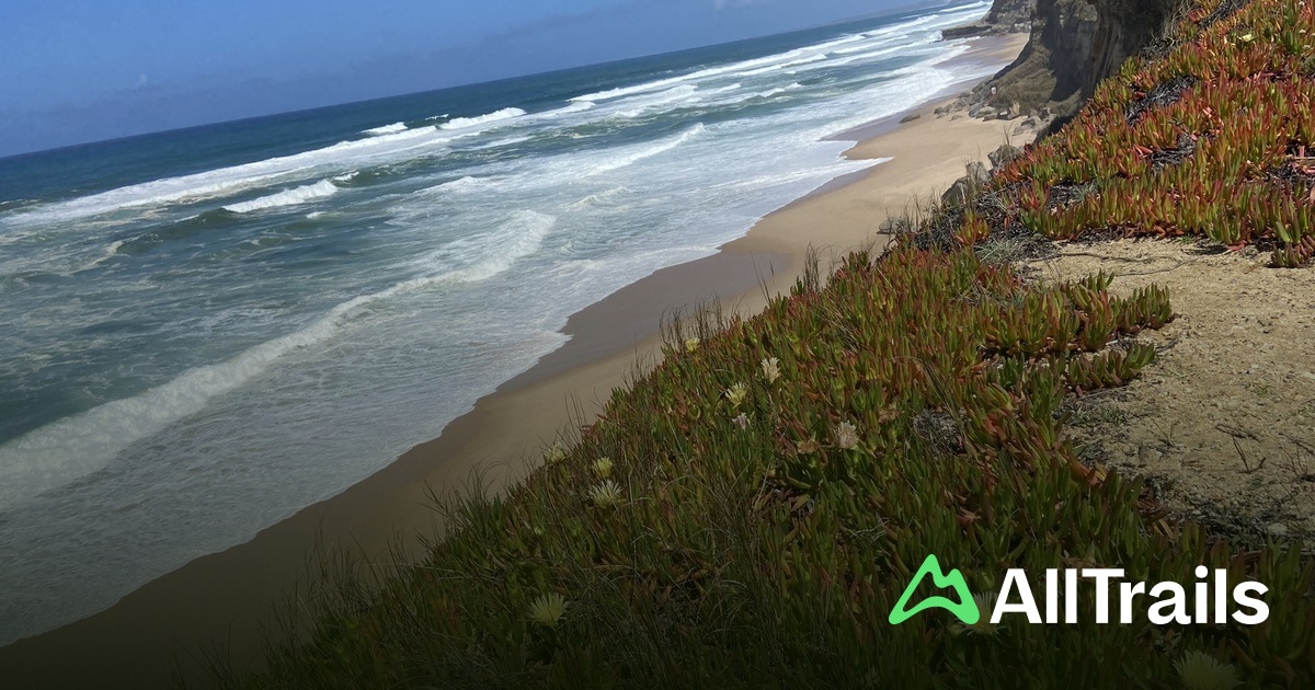 Praia de Santa Rita Sul - hikes and trails to get you there | AllTrails