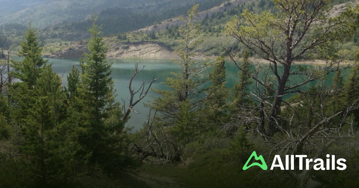 Swift Reservoir - hikes and trails to get you there | AllTrails