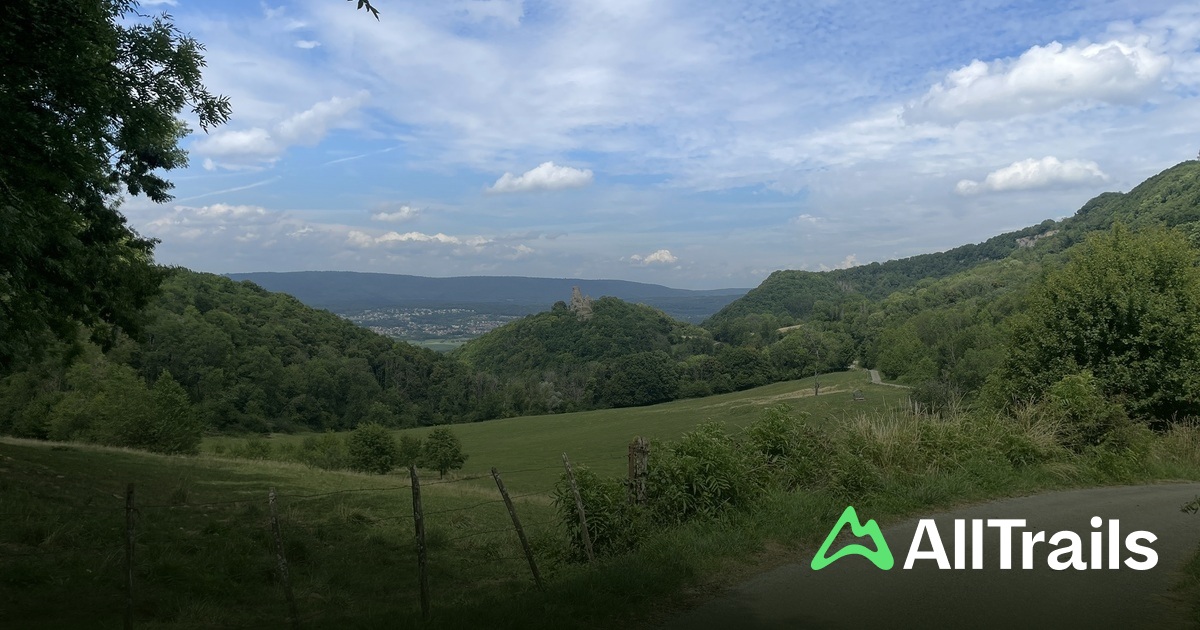 Beste routes in de buurt van Château-fort de Montfaucon | AllTrails