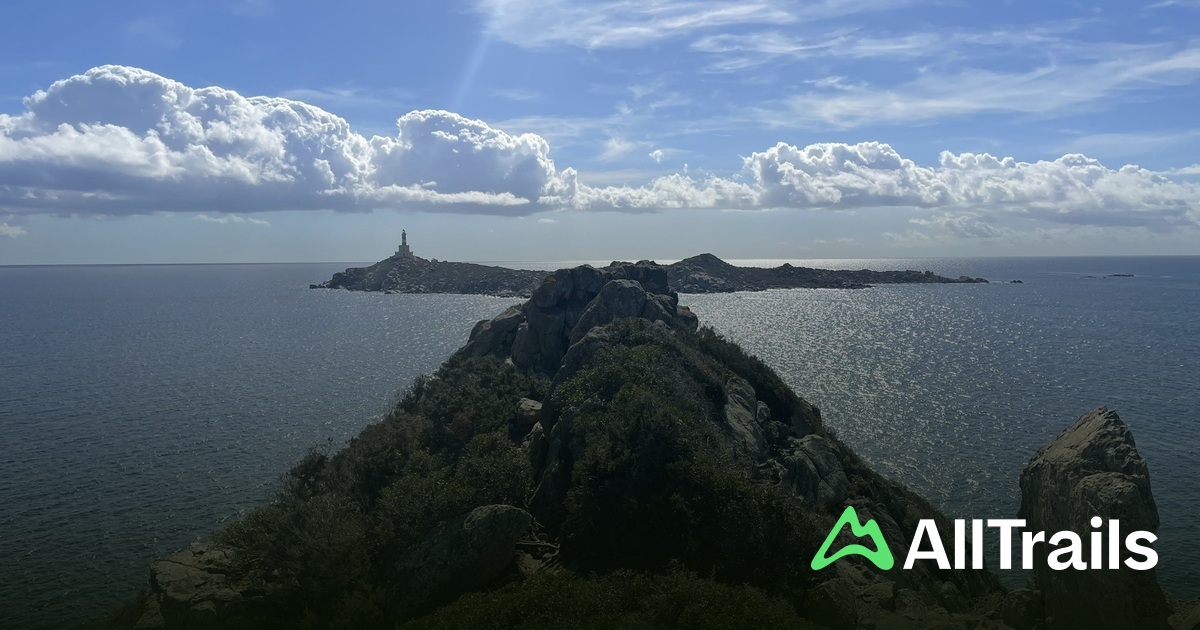 Cava Usai : les meilleures randonnées | AllTrails