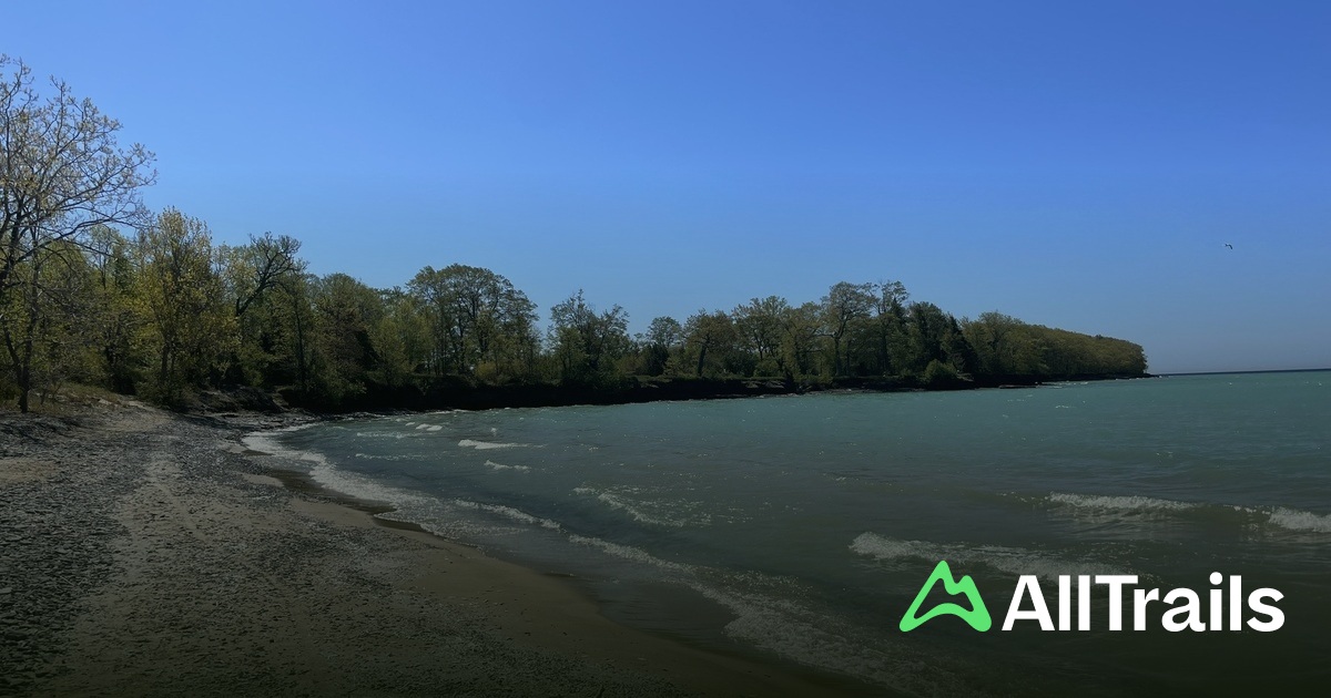 Lakeshore Beach - hikes and trails to get you there | AllTrails