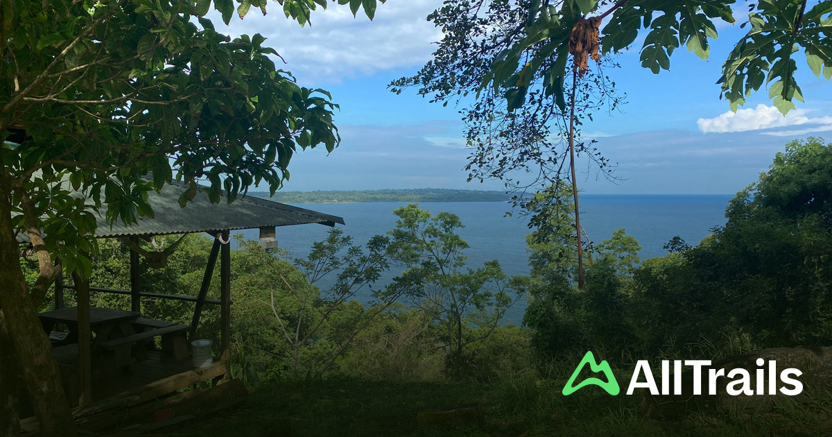 Pure Tree Experience - hikes and trails to get you there | AllTrails