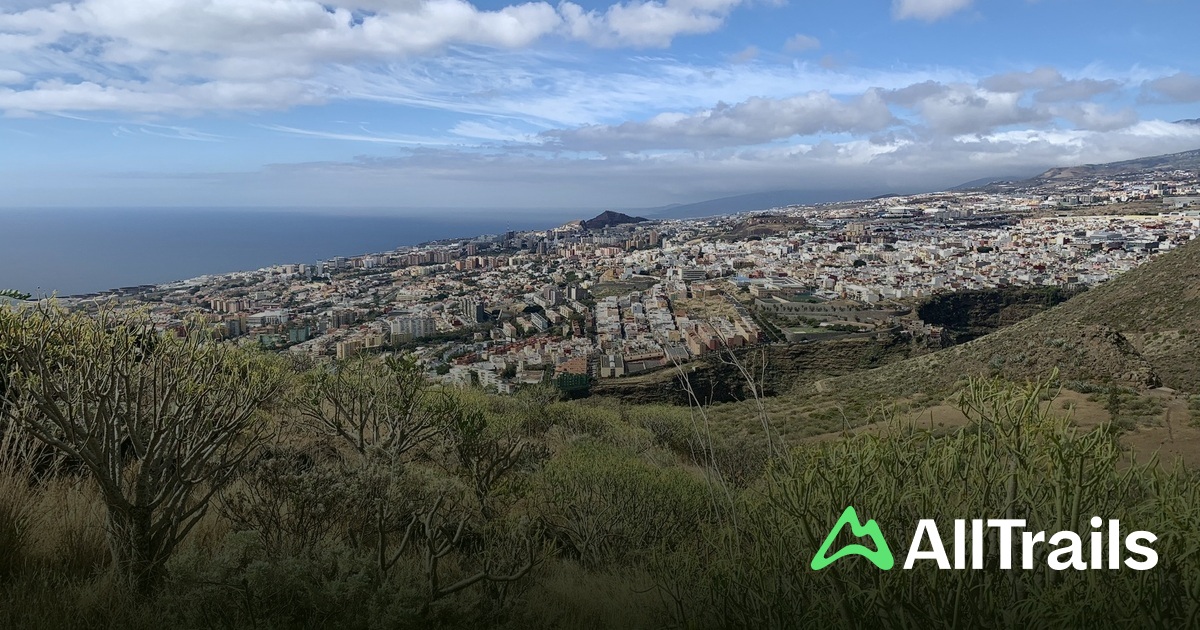 As melhores trilhas perto de Pico Cho Canino | AllTrails