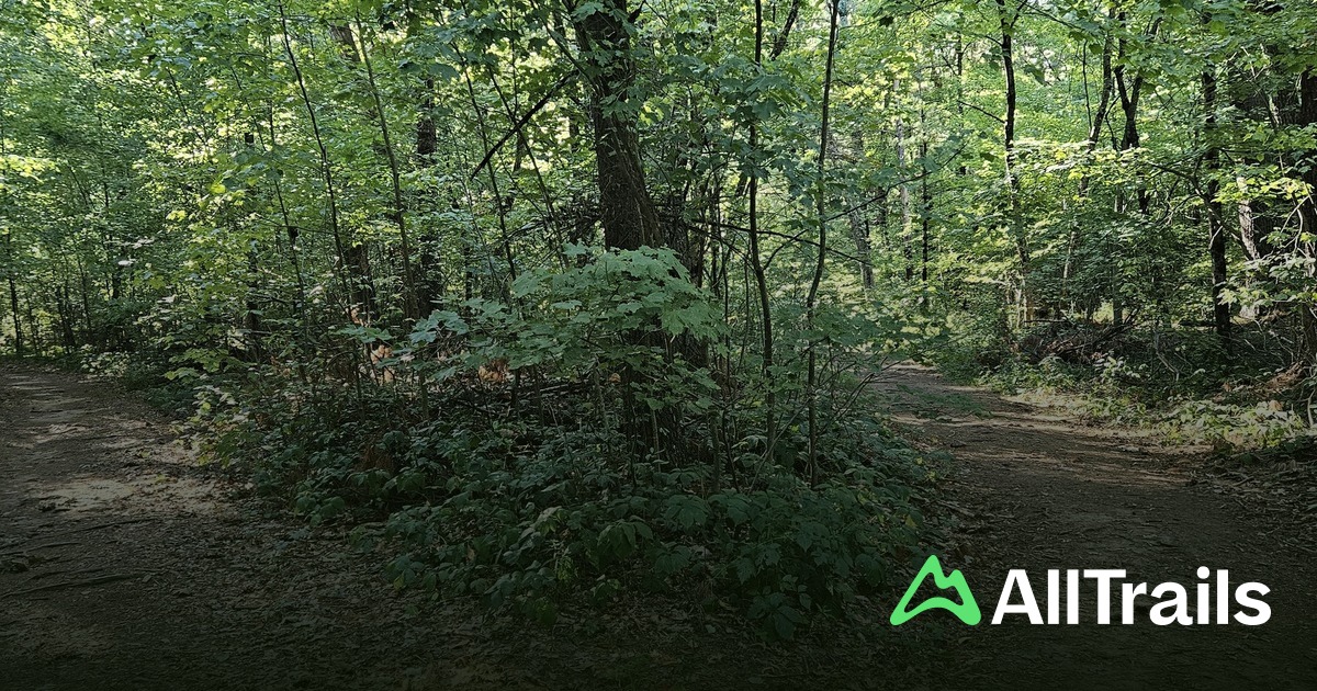 Witches Gulch - hikes and trails to get you there | AllTrails