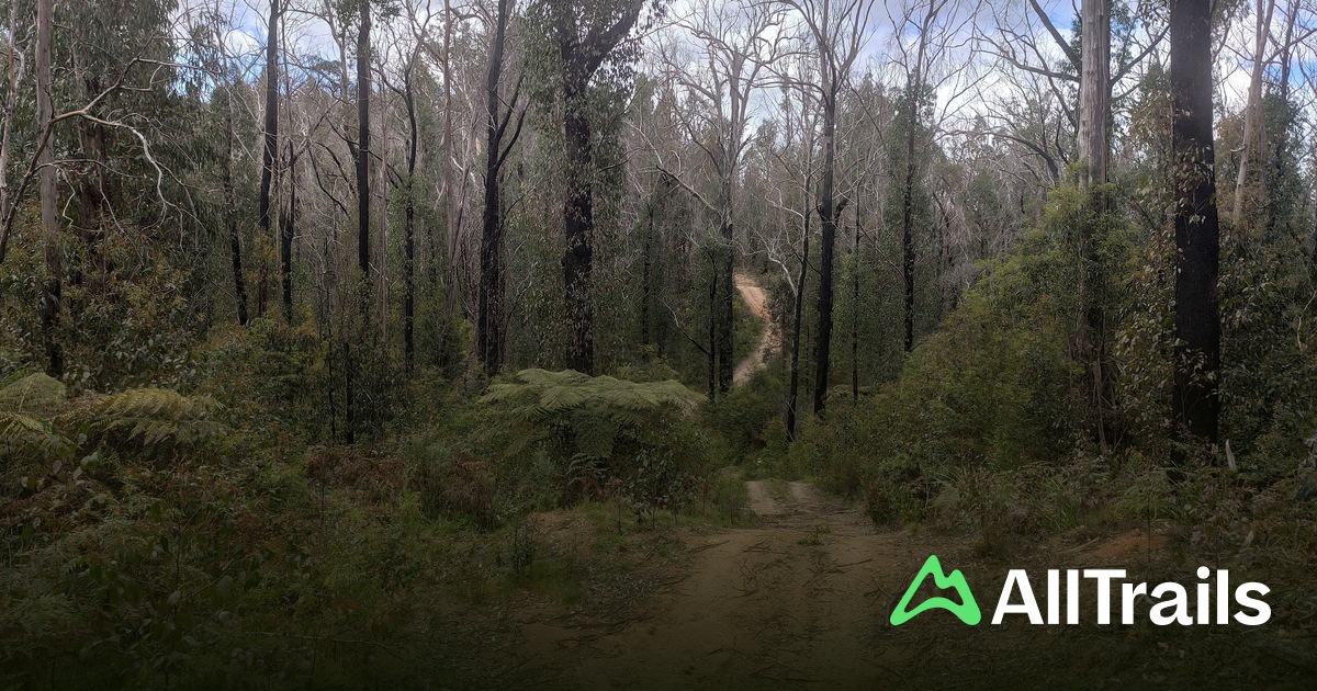 Postmans Campground - hikes and trails to get you there | AllTrails