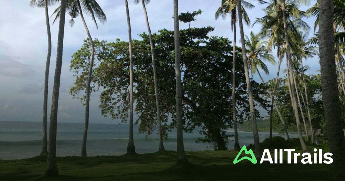 Jasri Beach - hikes and trails to get you there | AllTrails