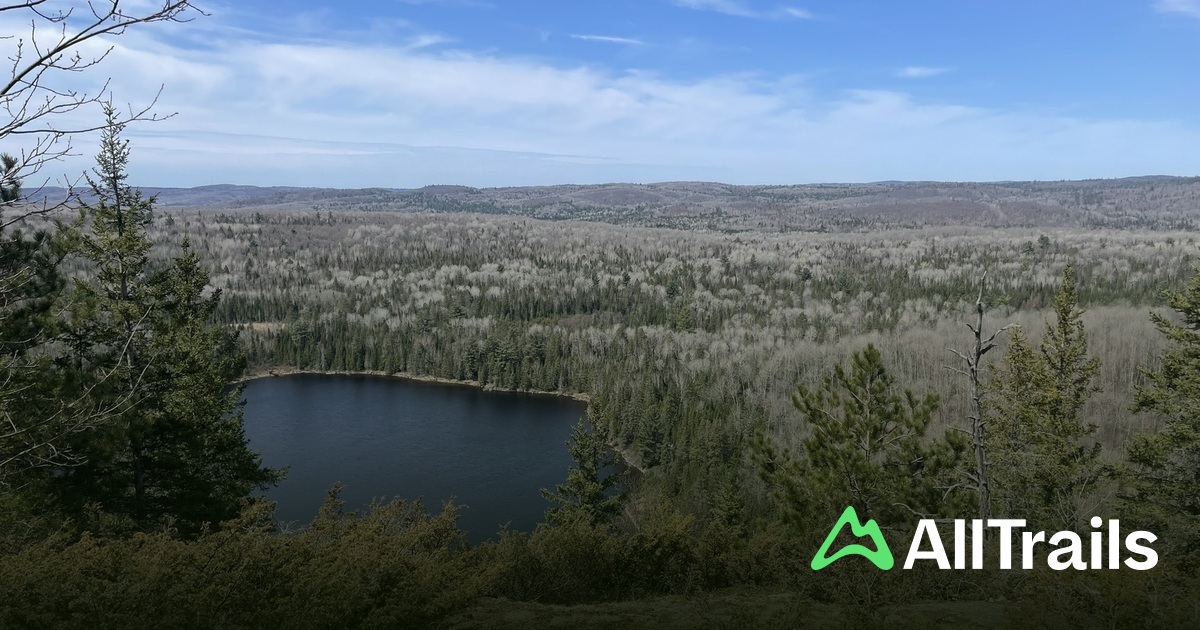 Bark Lake: Die besten Routen in der Umgebung | AllTrails