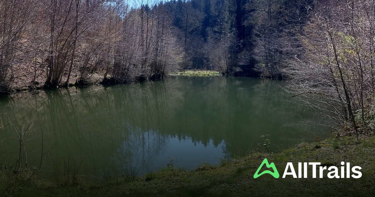 Halte Royale d'Ardenne - hikes and trails to get you there | AllTrails