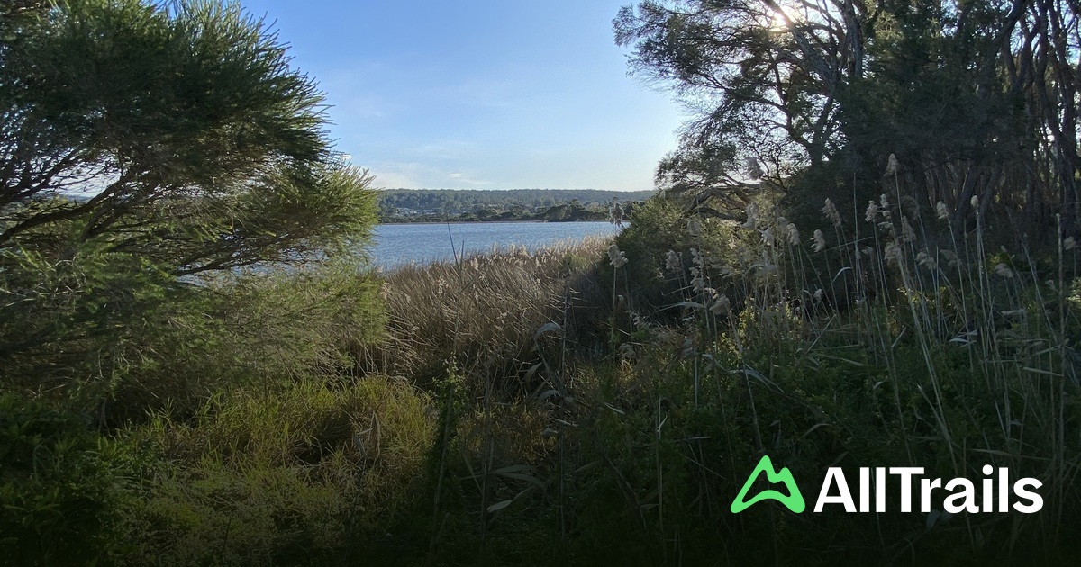 Quarantine Bay - hikes and trails to get you there | AllTrails