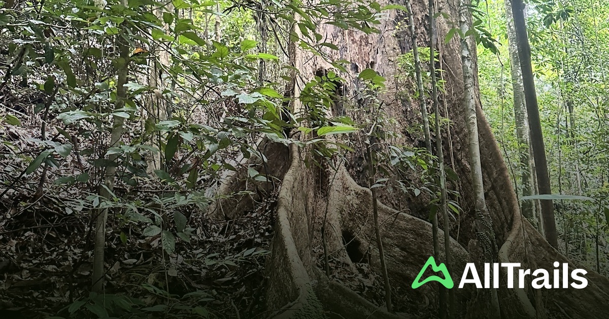 Best trails near Permai Waterfall | AllTrails