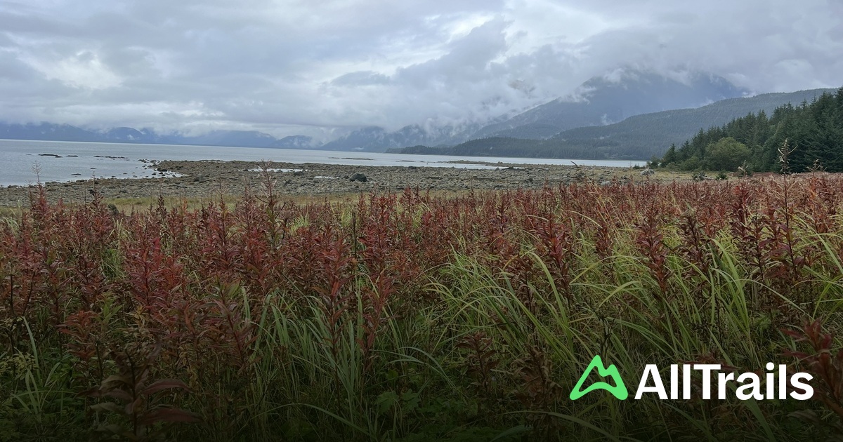 Berm Beach - hikes and trails to get you there | AllTrails