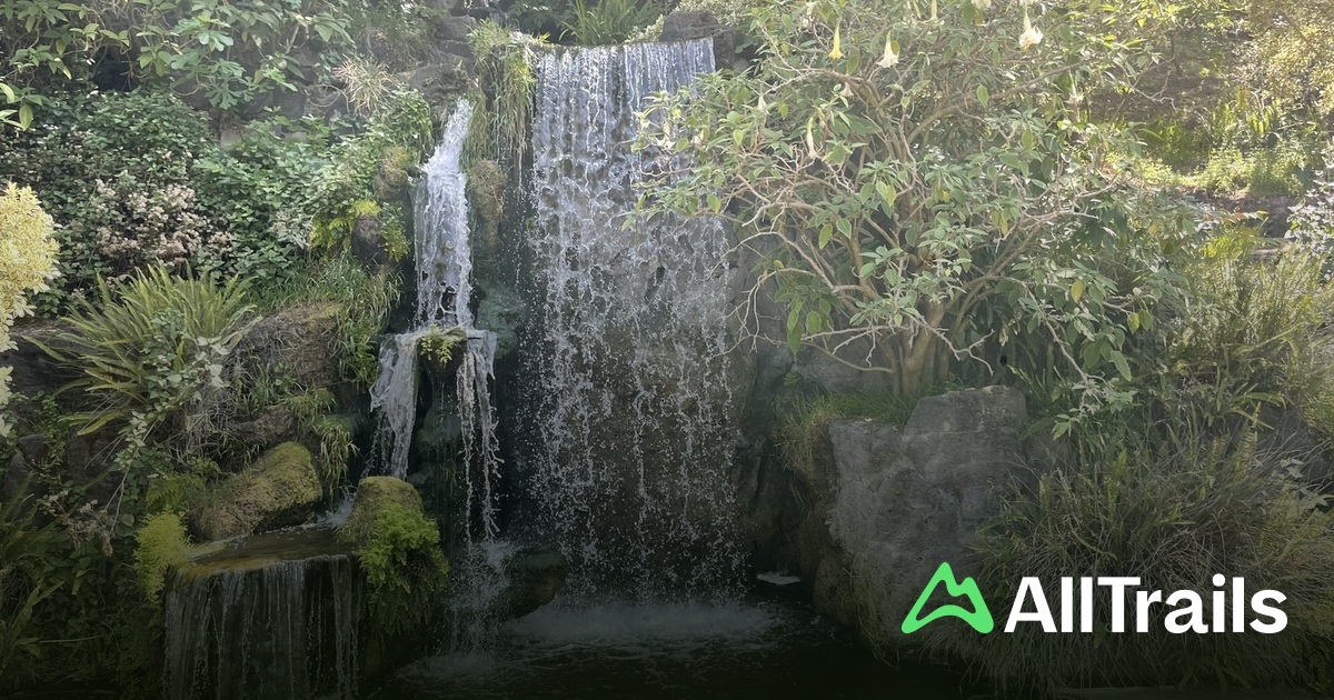 Baldwin Lake - hikes and trails to get you there | AllTrails