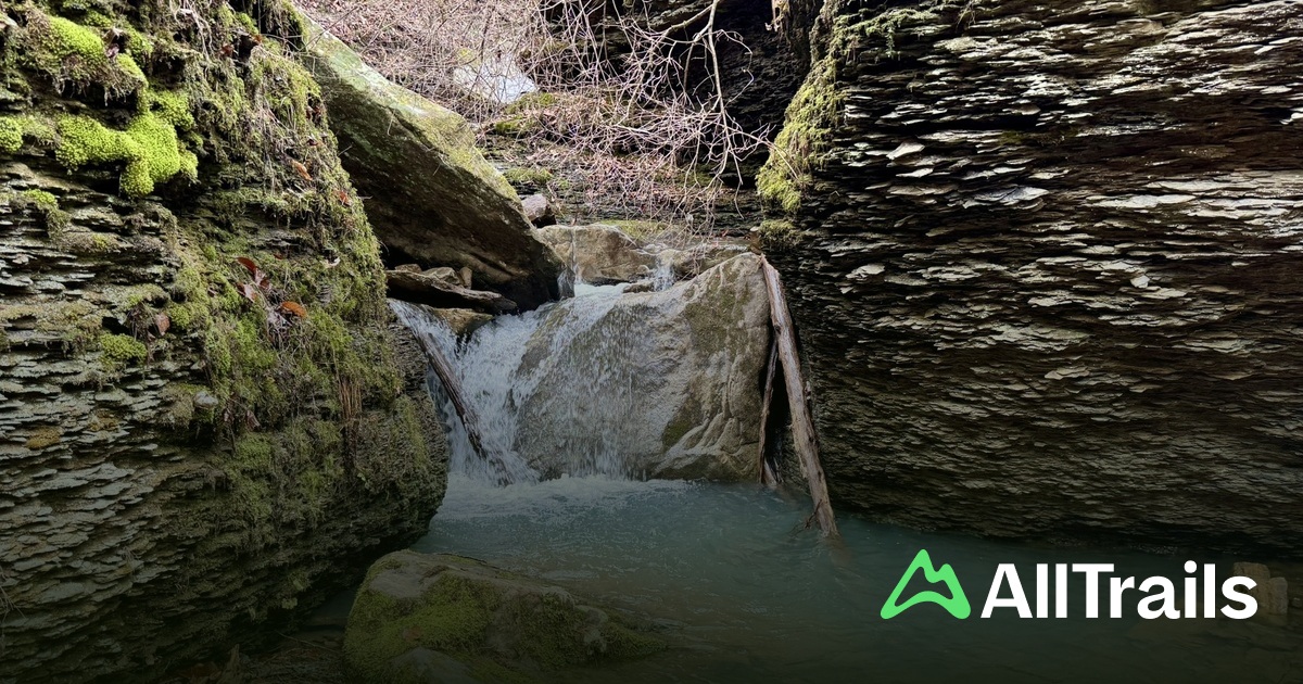 Adkins Canyon Falls - hikes and trails to get you there | AllTrails