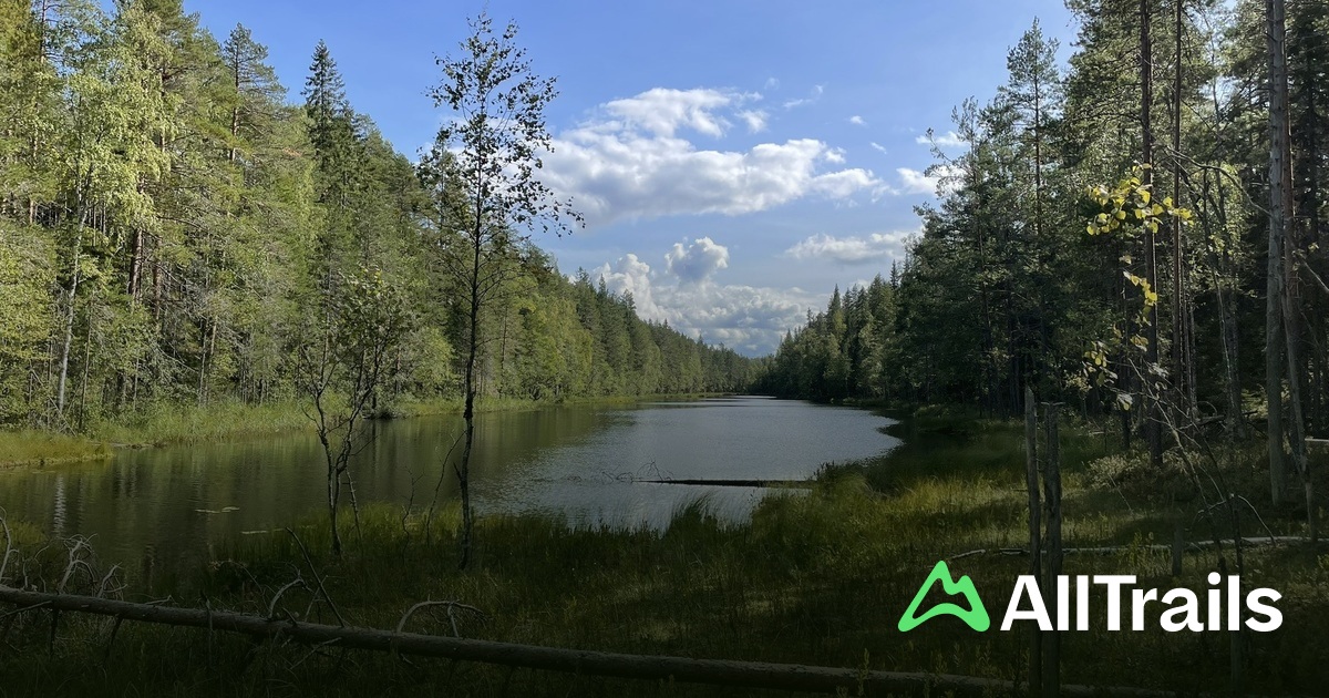 Ylä-Murhi - hikes and trails to get you there | AllTrails