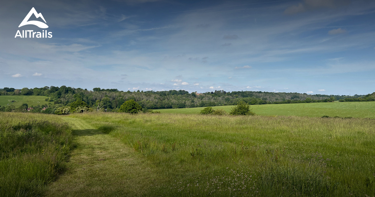 2023: Beste Routen in der Umgebung von Compton Down | AllTrails