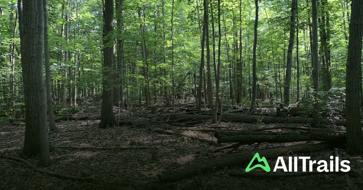 Byng Island Park Campground - hikes and trails to get you there | AllTrails