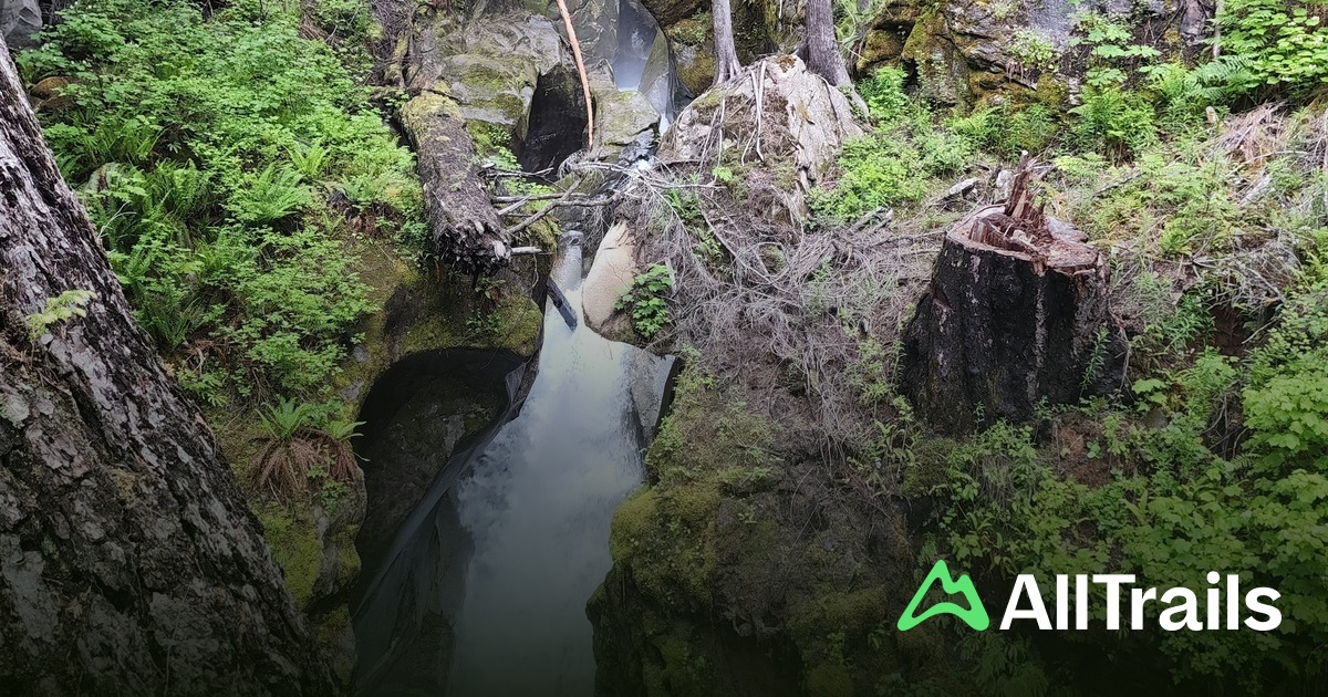 Ladder Creek Falls - hikes and trails to get you there | AllTrails