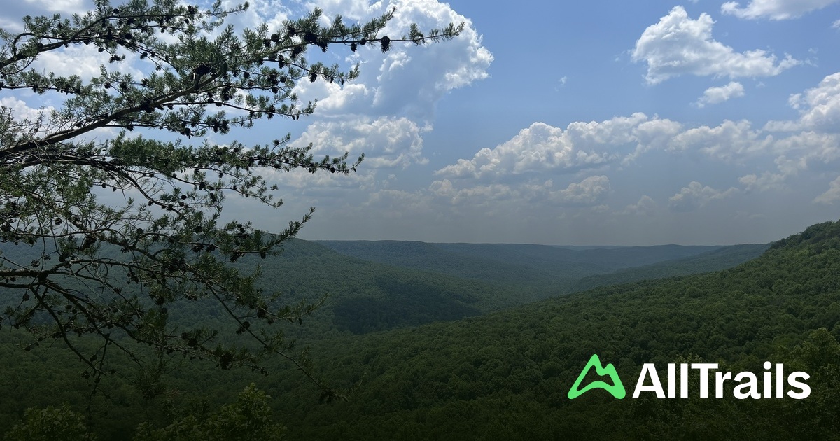 Martha's Pretty Point Backcountry Campground - hikes and trails to get ...