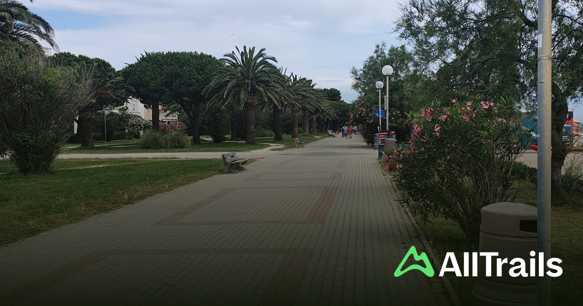 Plage des Pins – najlepsze szlaki w pobliżu | AllTrails