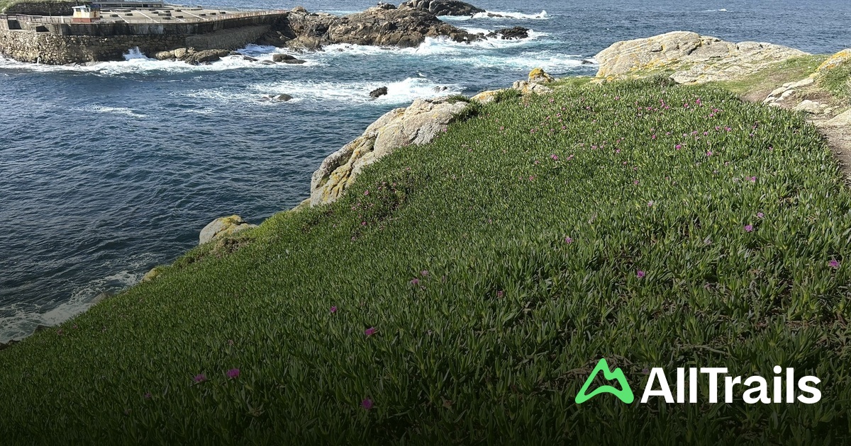 Castelo de Eirís - hikes and trails to get you there | AllTrails