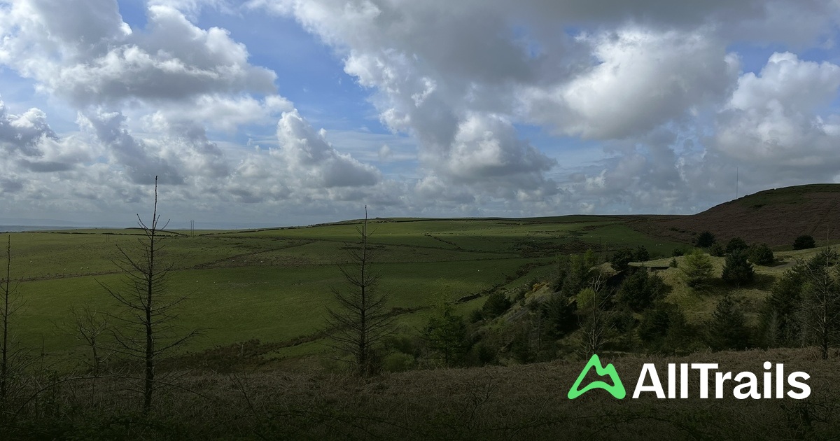 Rhondda River - hikes and trails to get you there | AllTrails