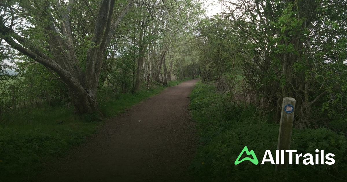 Tyne Water - hikes and trails to get you there | AllTrails