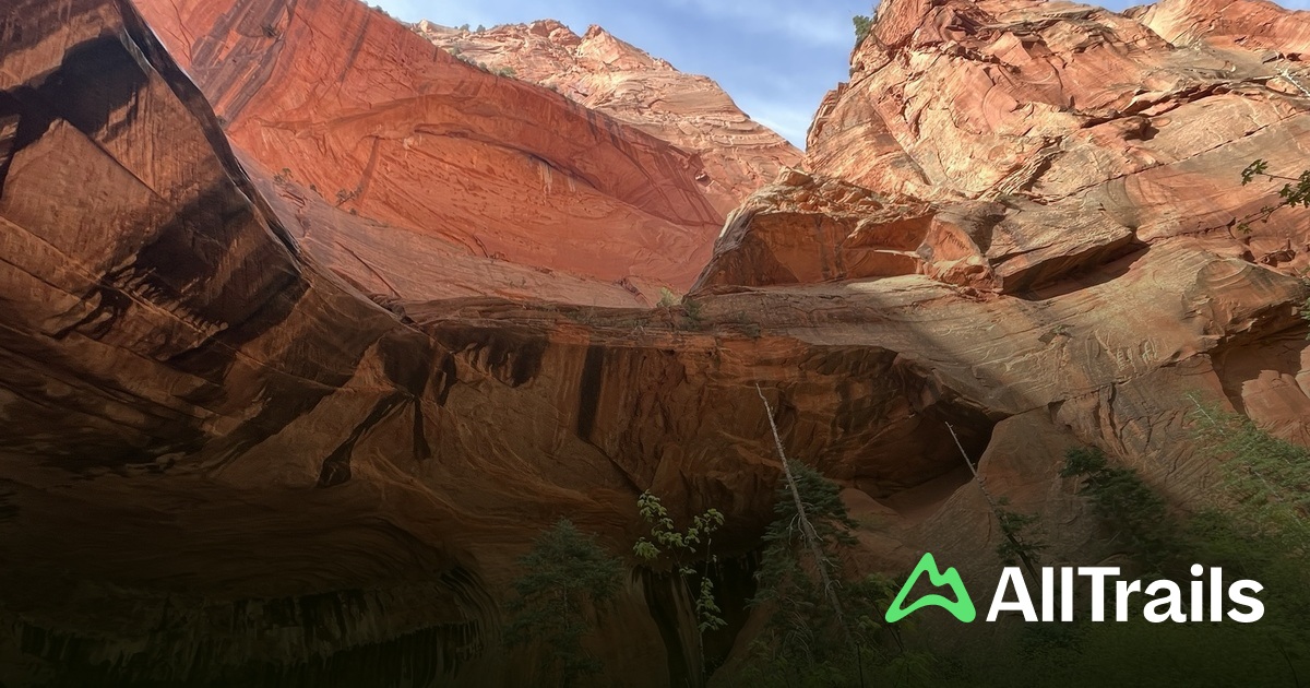 Double Arch Alcove - hikes and trails to get you there | AllTrails
