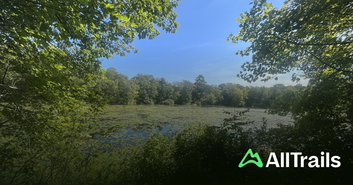 Best trails near Rocky Slide Gulch | AllTrails